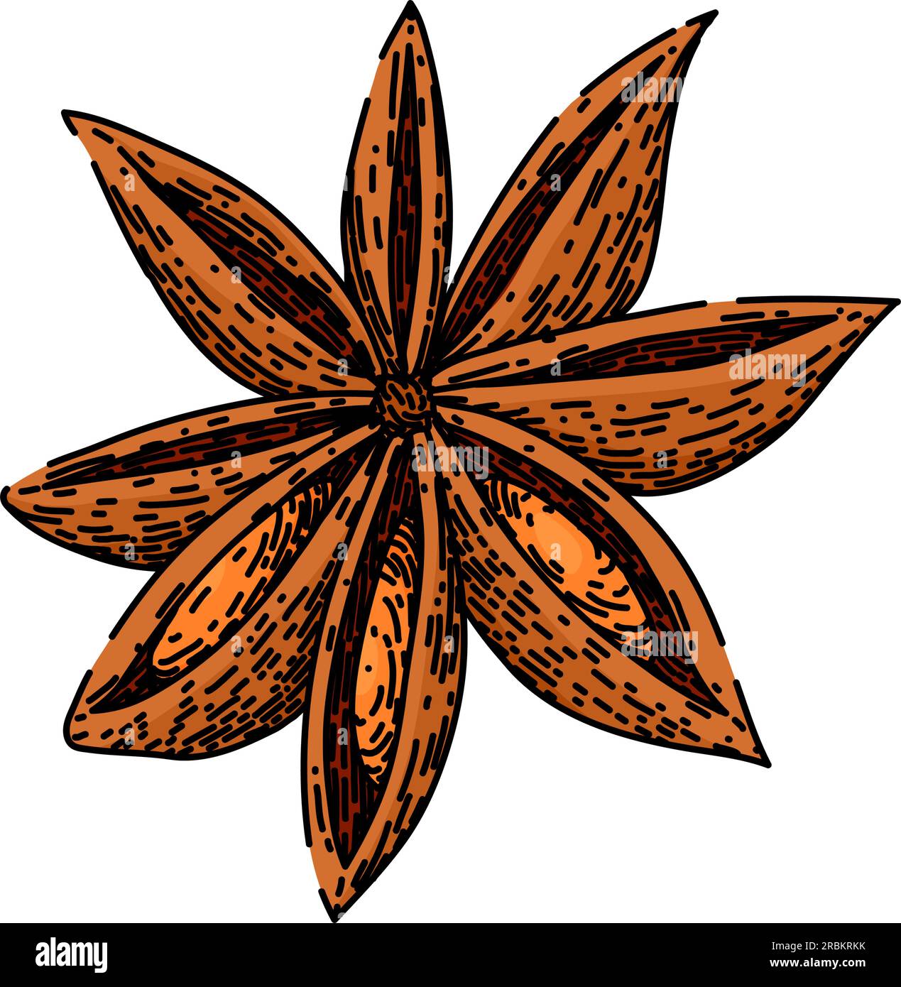 Anis star Stock Vector Images - Alamy