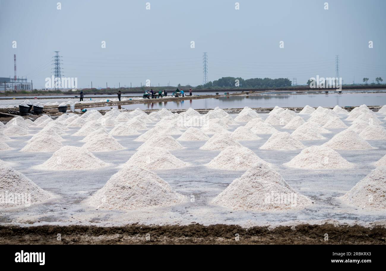 Sea salt farm in Thailand. Brine salt. Raw material of salt industrial ...