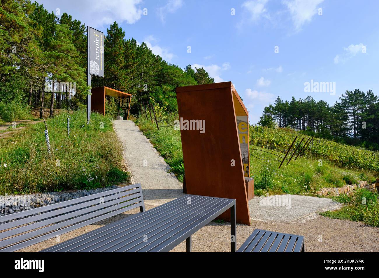 Vineyards and shell limestone rocks at the Hammelberg nature reserve ...