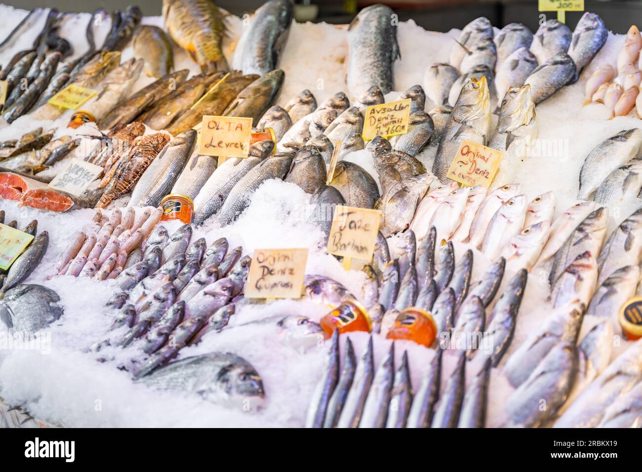 Closeup view of assorted seafood and fish at Fish market in Alanya ...