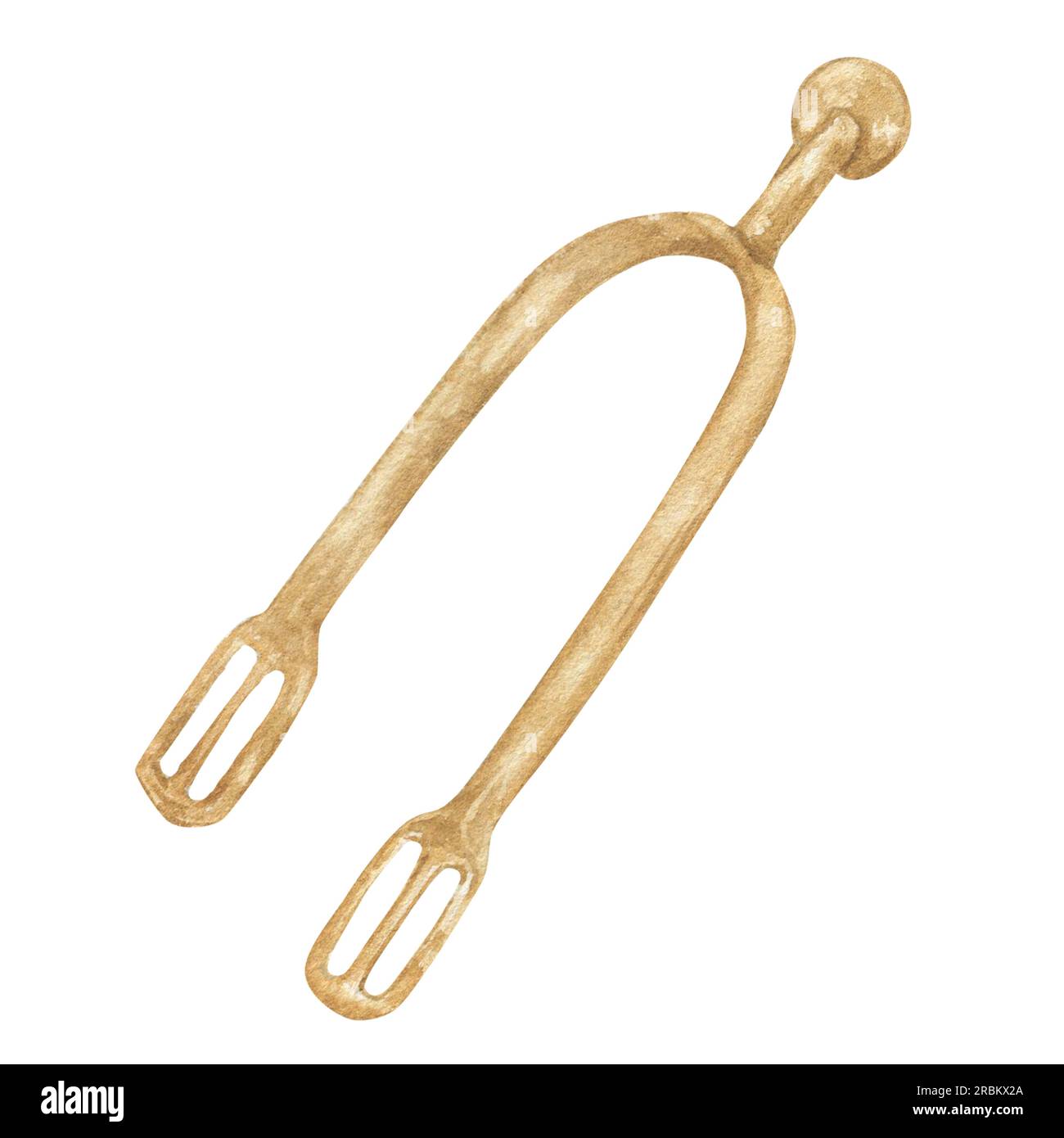 Watercolor illustrations of golden spur, isolated. Can be used as a ...