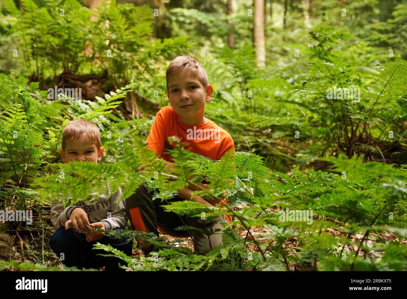 Children have fun in the forest. Outdoor activities Stock Photo - Alamy