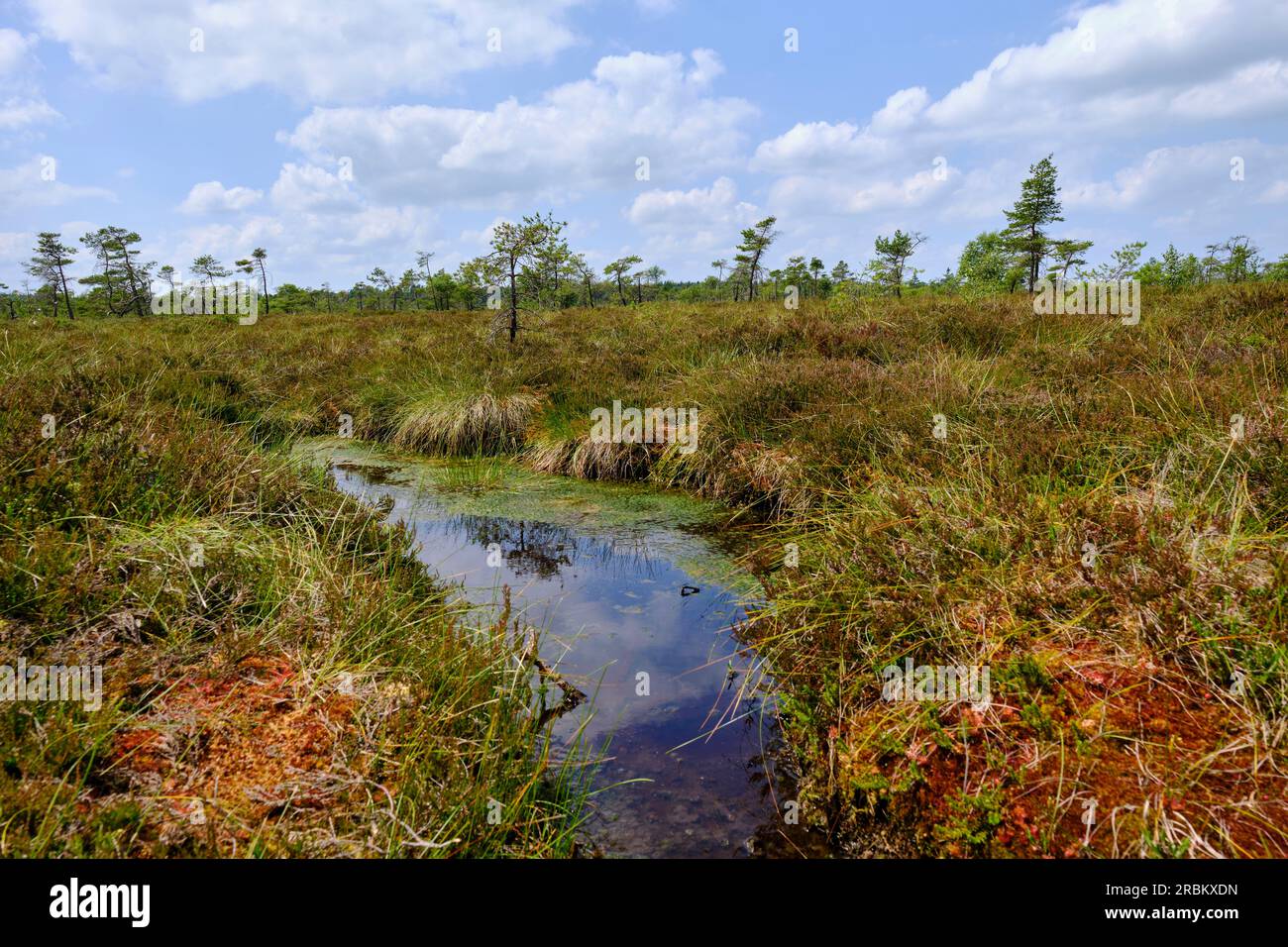 Landscape in the Black Moor nature reserve, Rhoen Biosphere Reserve ...