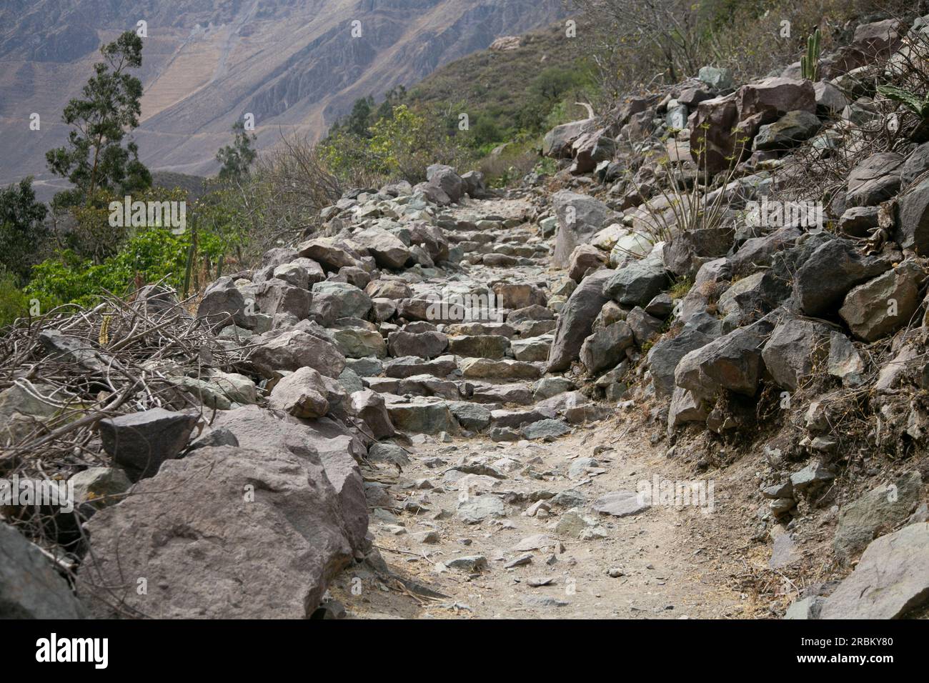Hike through the Colca Canyon following the route from Cabanaconde to ...