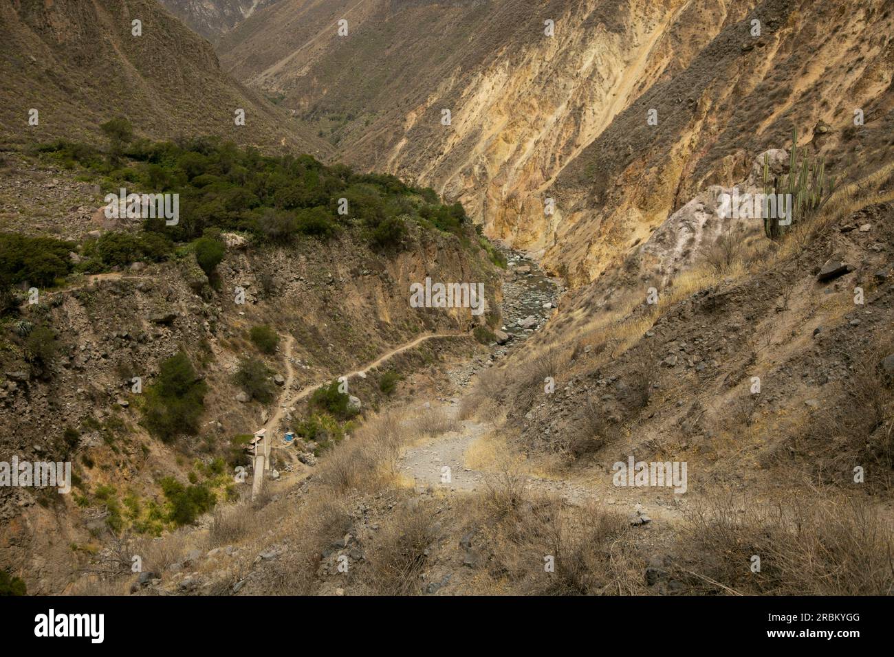 Hike through the Colca Canyon following the route from Cabanaconde to ...