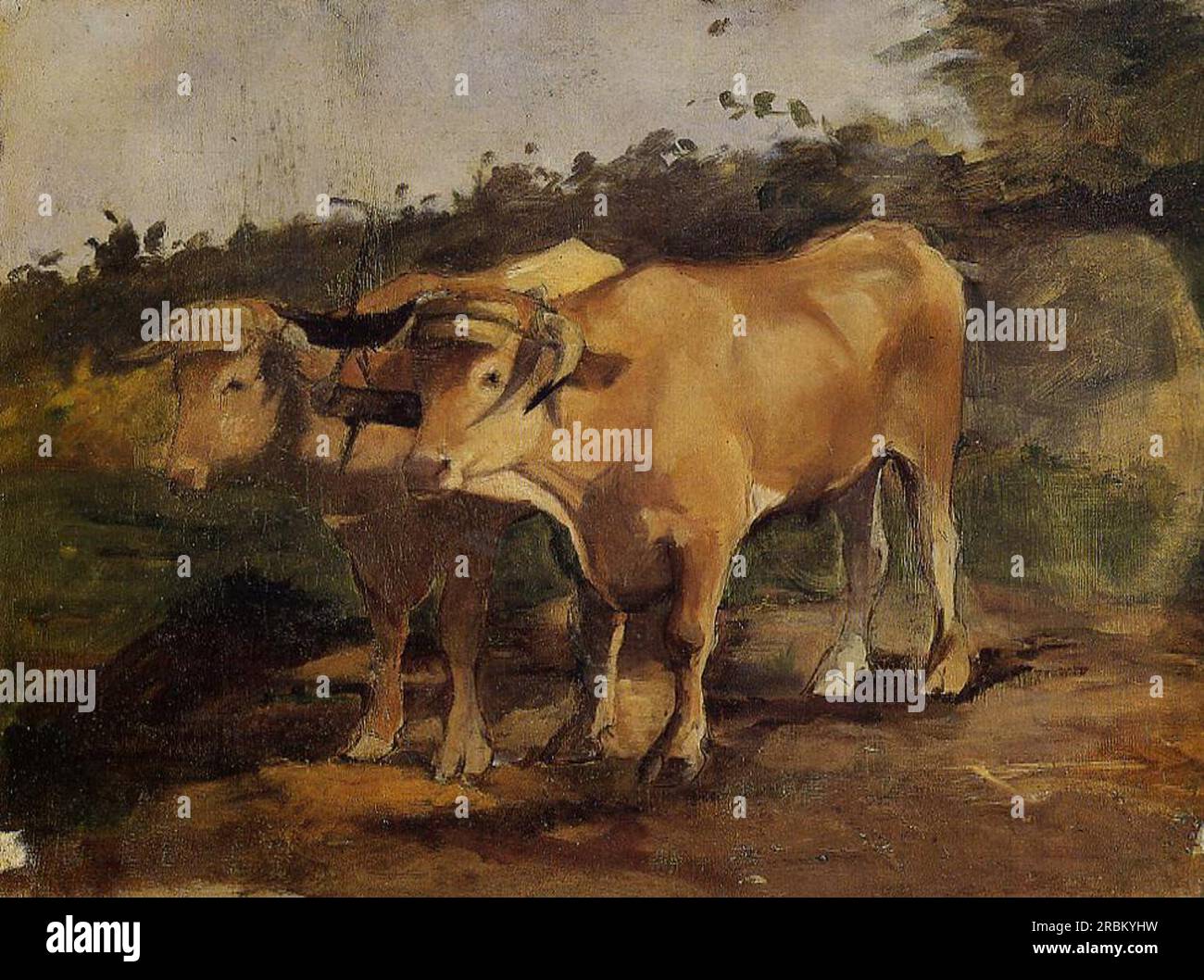 Two Bulls Wearing a Yoke 1881 by Henri de Toulouse-Lautrec Stock Photo ...