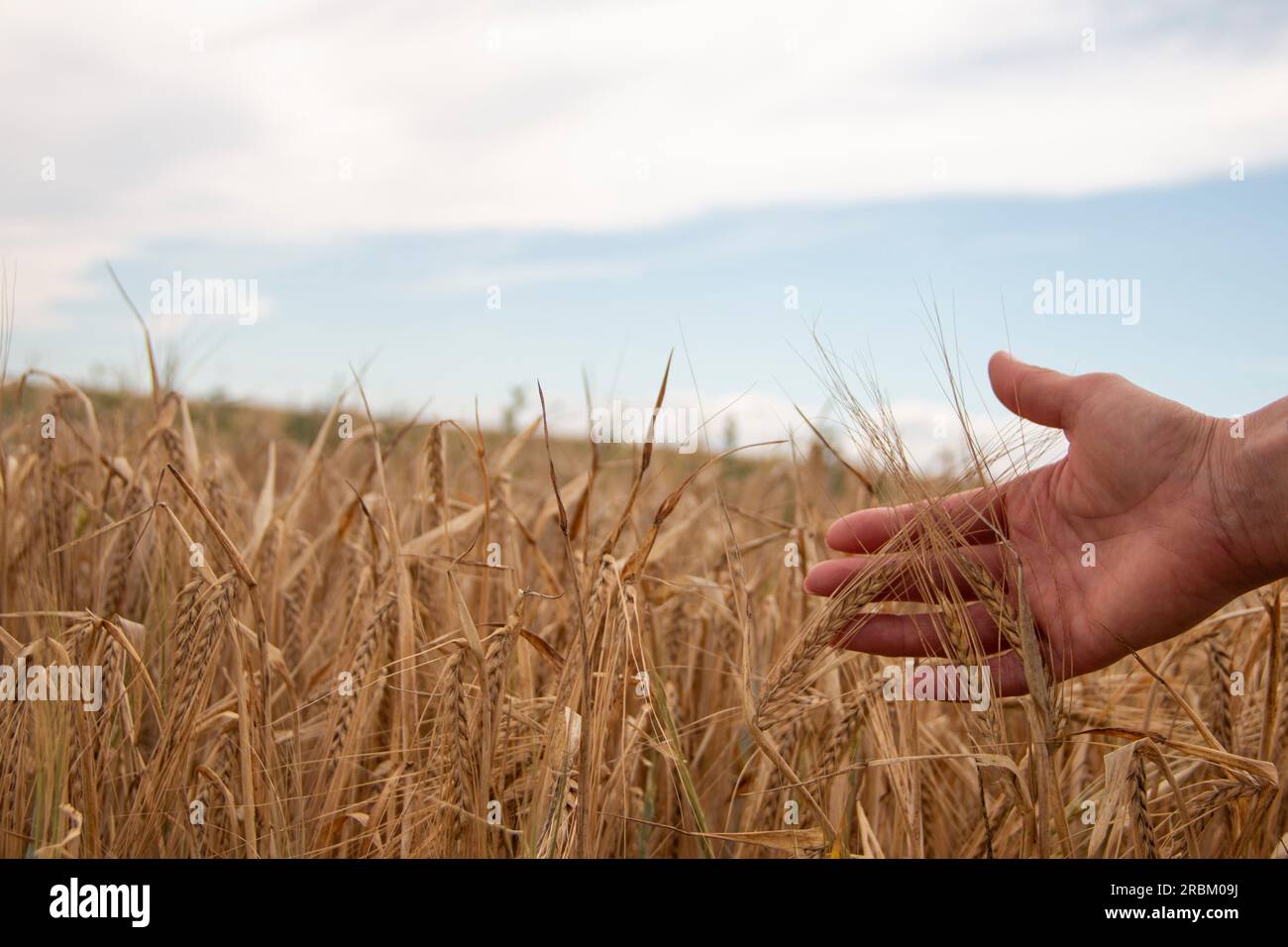 Caressing hand hi-res stock photography and images - Alamy