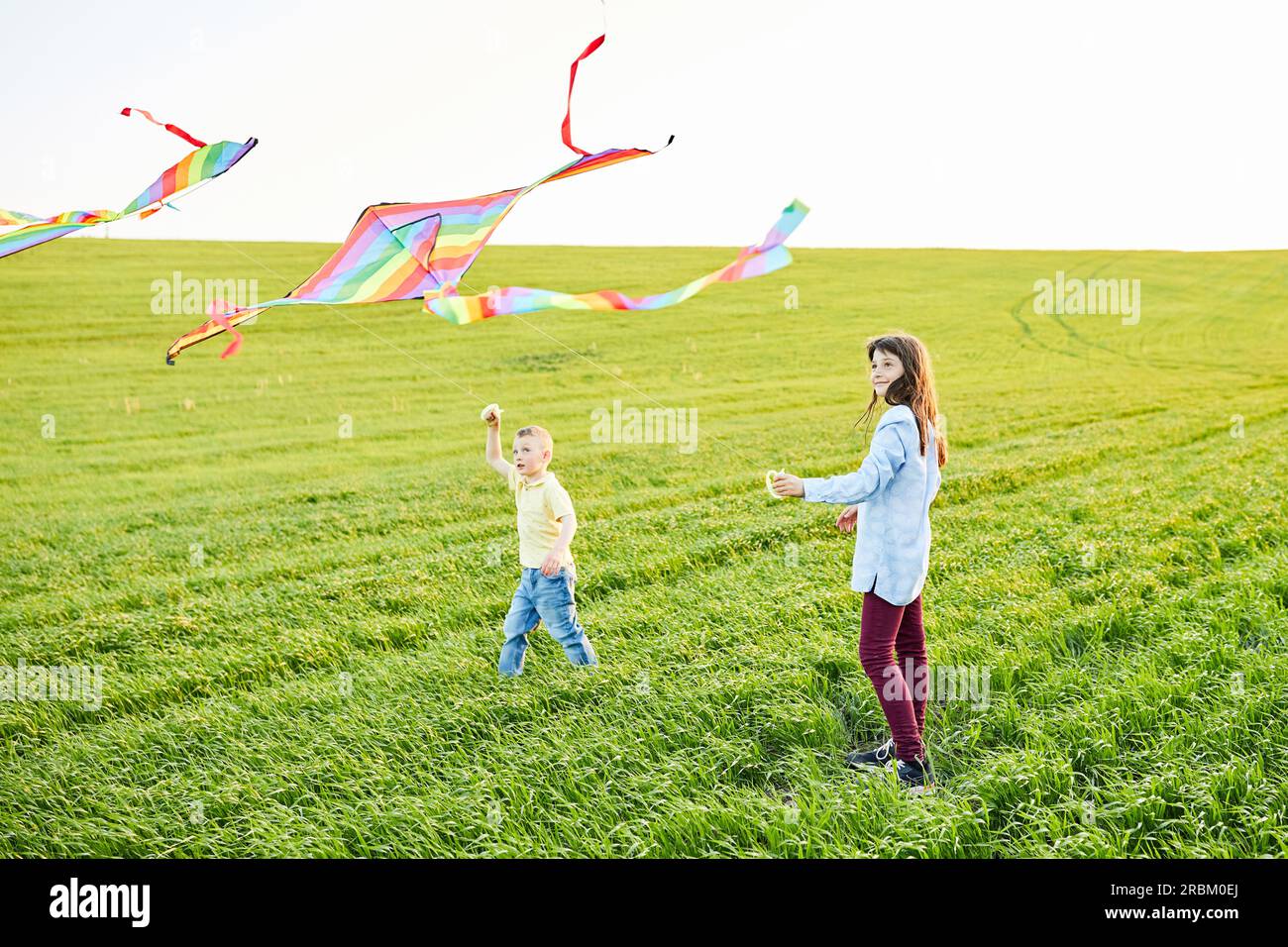 Happy children launch a kite in the field. Little boy and girl on ...