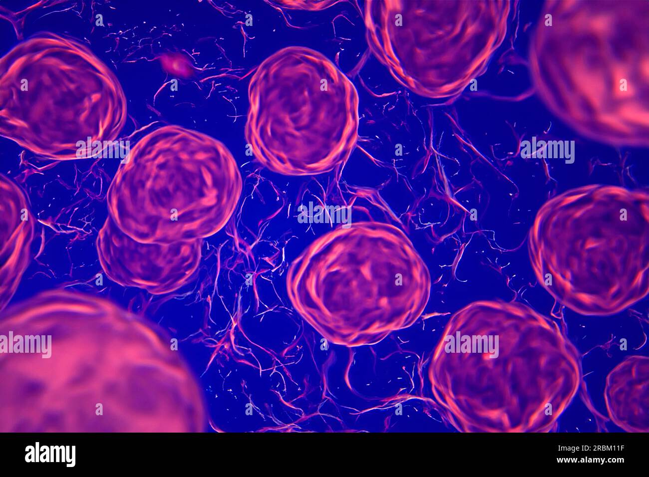 blood cells visible under a microscope Stock Photo - Alamy