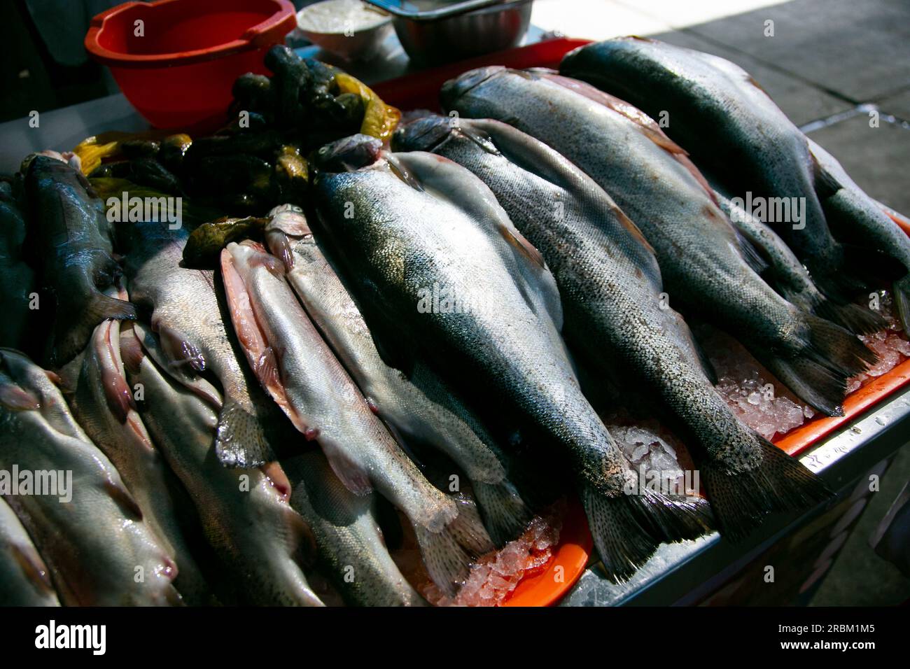 Fresh trout from Titicaca Lake in a fish market in Arequipa in Peru ...