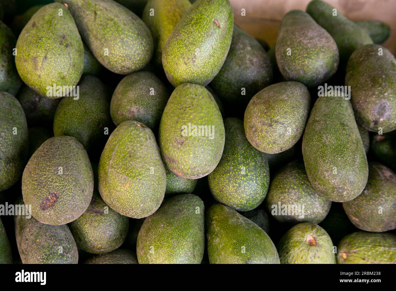 Avocados at a stall in the central fruit and vegetable market in ...