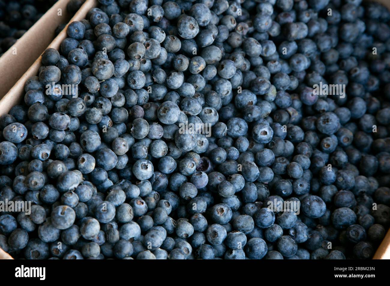 Blueberries at a stall in the central fruit and vegetable market in ...