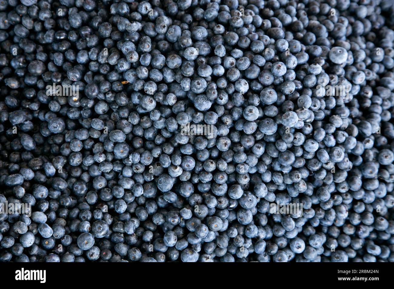 Blueberries at a stall in the central fruit and vegetable market in ...