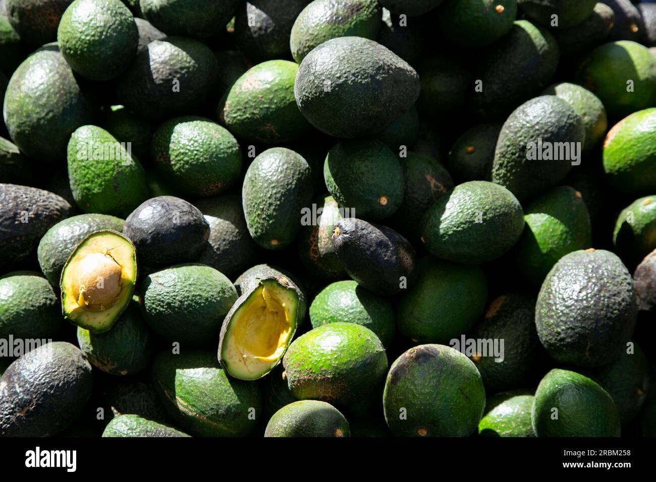 Avocados at a stall in the central fruit and vegetable market in ...