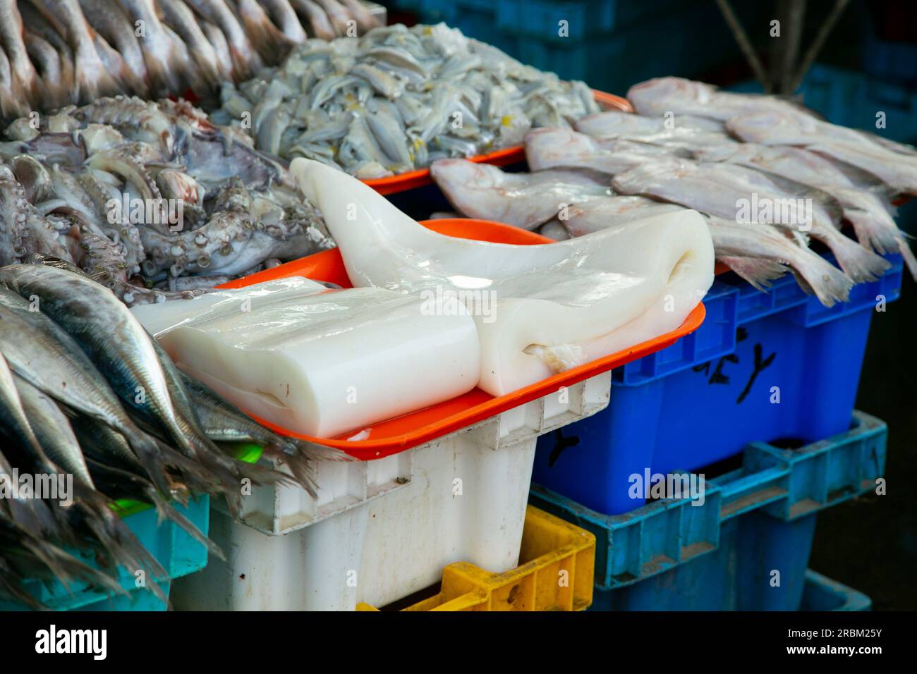 Fish stalls selling squid and cuttlefish at Sant Camilo food market in ...