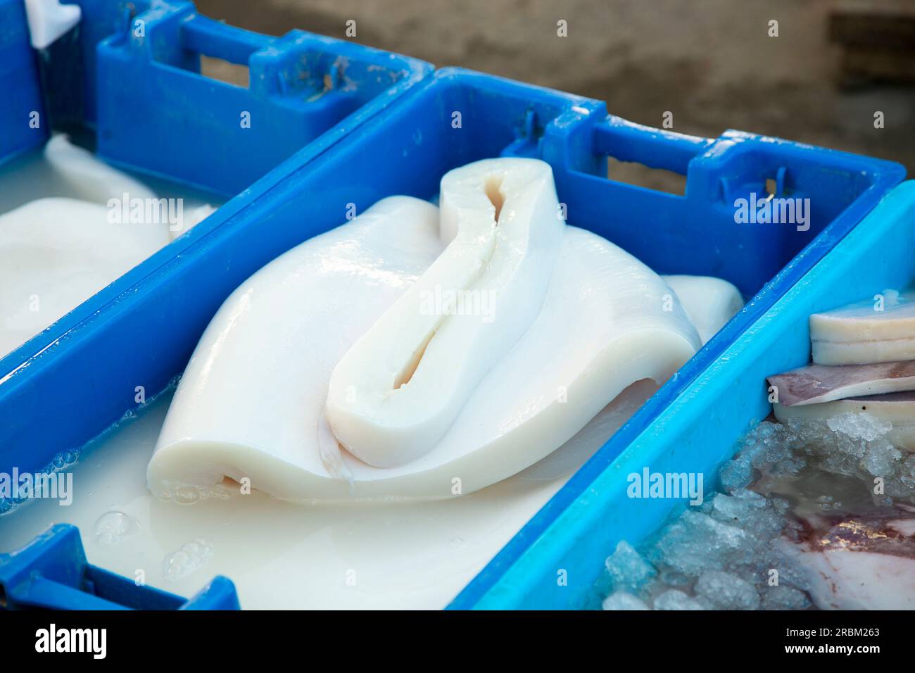 Fish stalls selling squid and cuttlefish at Sant Camilo food market in ...