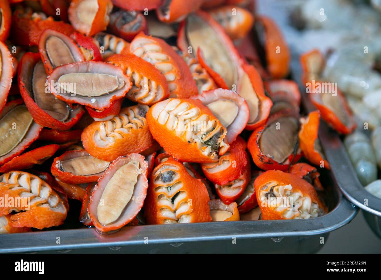 Peruvian crustaceans and mollusks. Fish stalls at Sant Camilo food ...