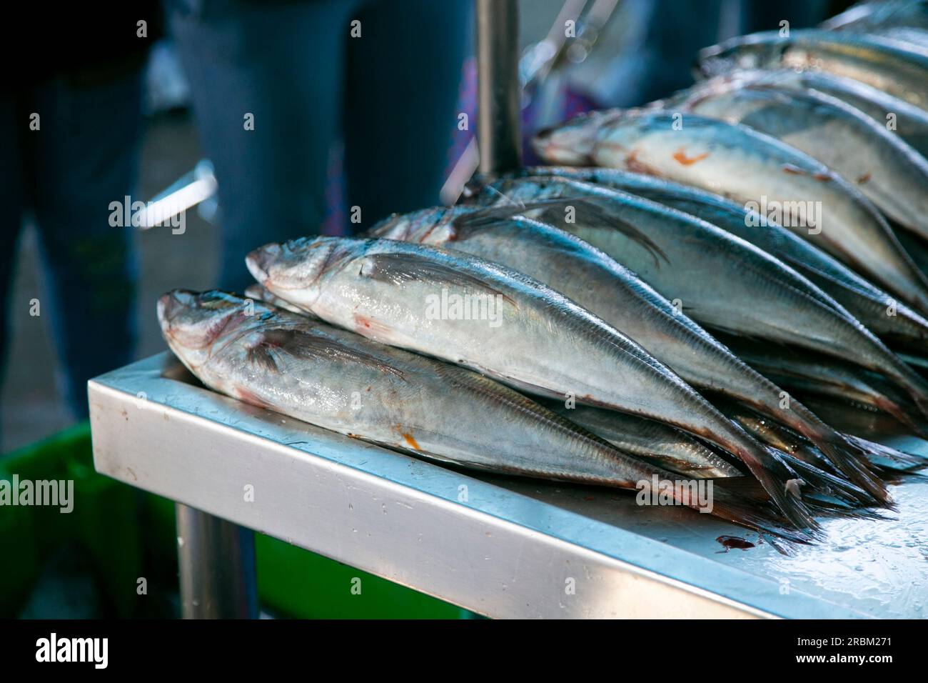 Fish stalls at Sant Camilo food market in Arequipa, Peru Stock Photo ...