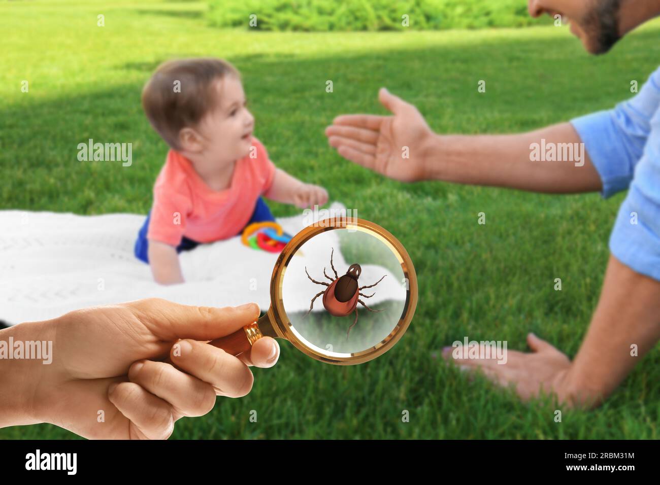 Seasonal hazard of outdoor recreation. Little baby crawling towards ...