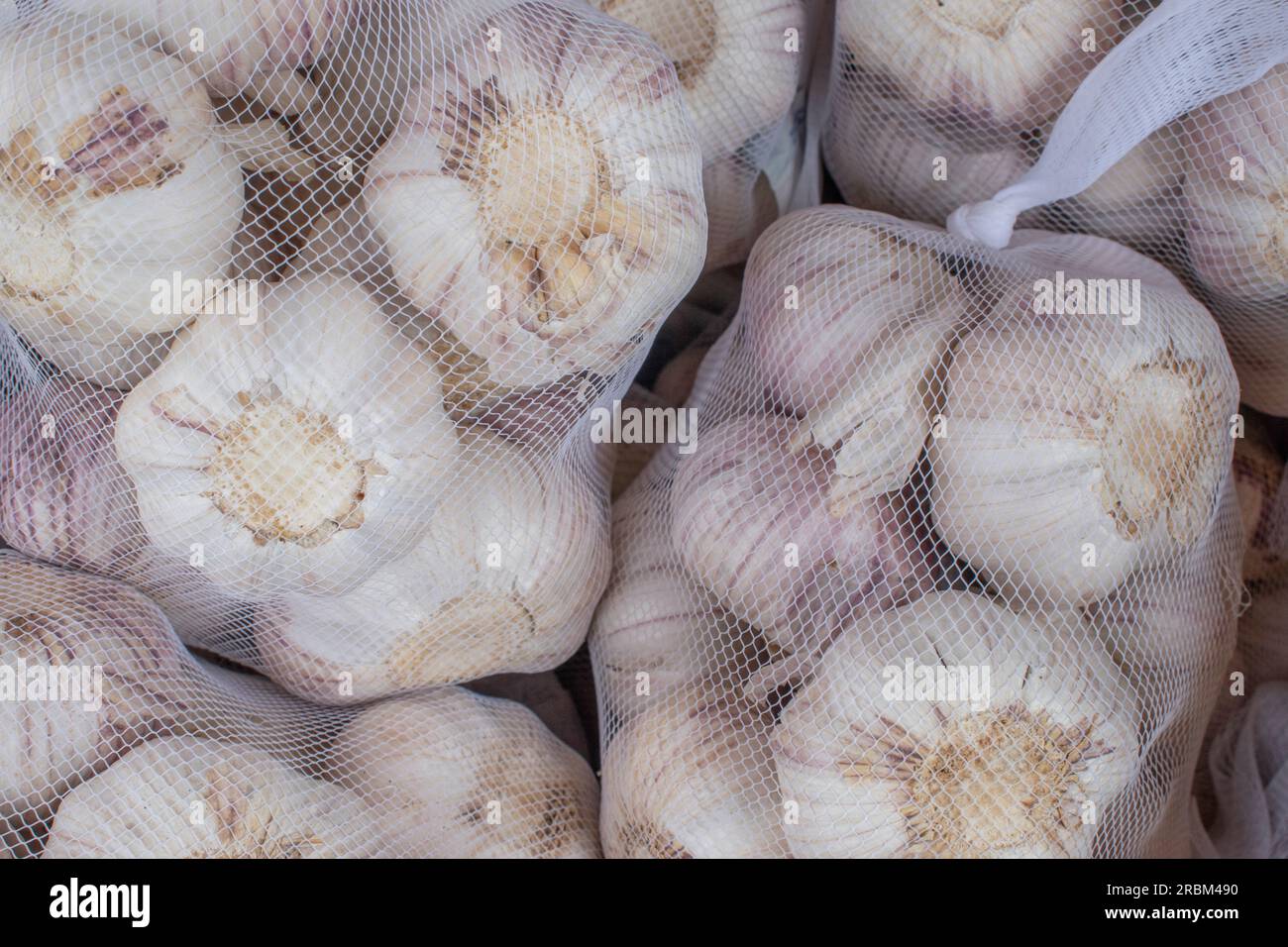 A small mesh bag containing normal white garlic cloves, indicating the ...