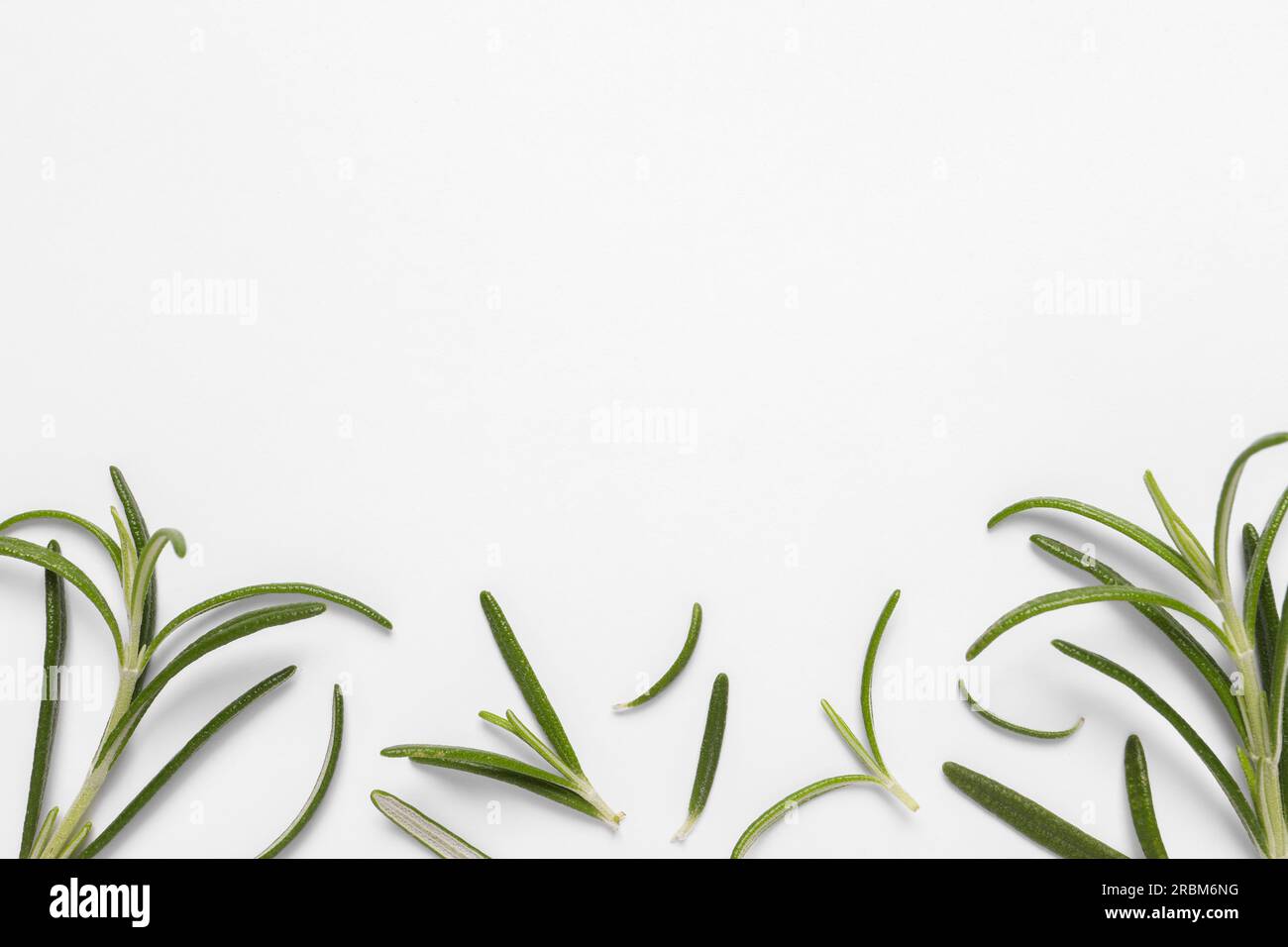 Sprigs of fresh rosemary on white background, flat lay. Space for text ...