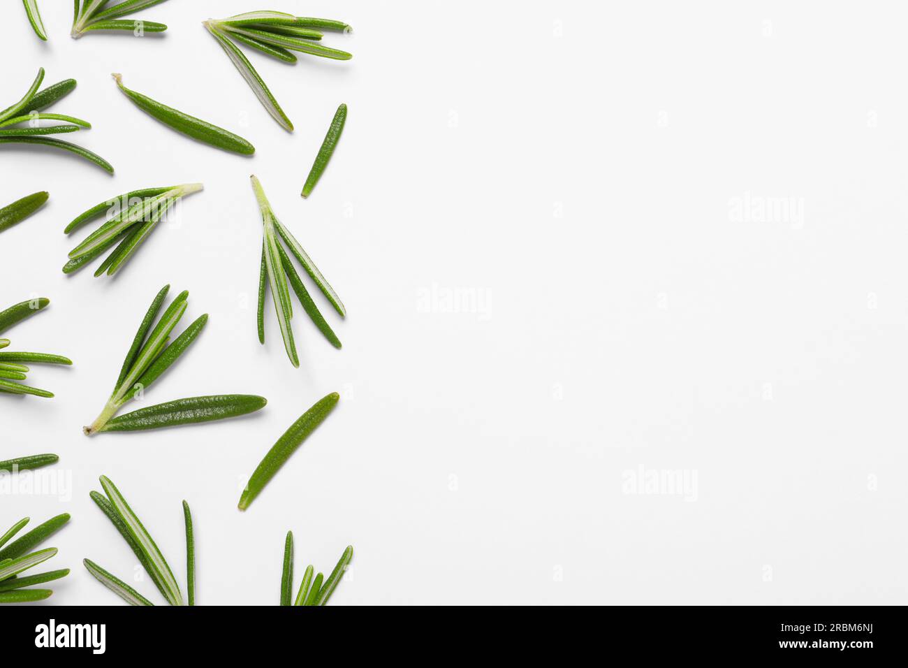 Sprigs of fresh rosemary on white background, flat lay. Space for text ...