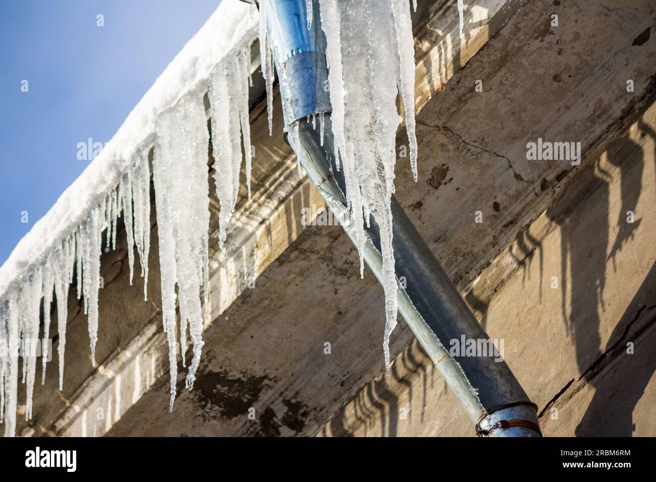 Powerful thick icicles on the roof of the building, rainwater pipe ...