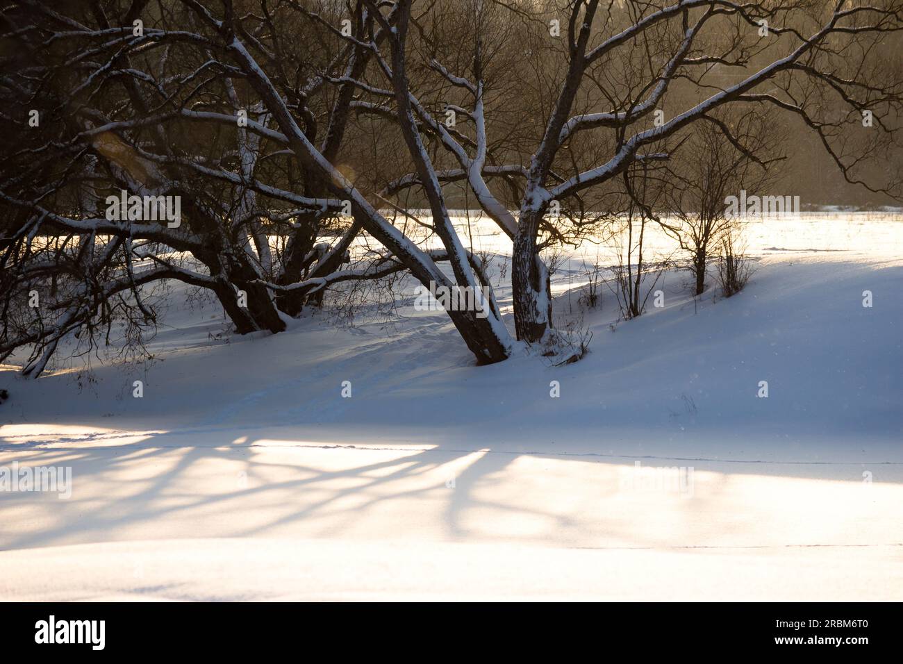 Gentle snowy landscape in nature. Snow covers the river bank and trees ...