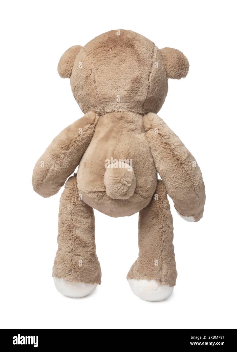 Cute teddy bear isolated on white, back view Stock Photo - Alamy