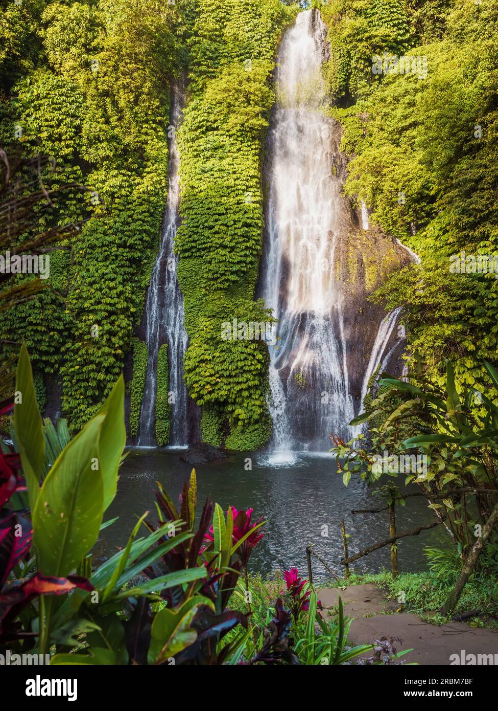 Scenic waterfall and exotic plants in tropics. Jungle cascade waterfall ...