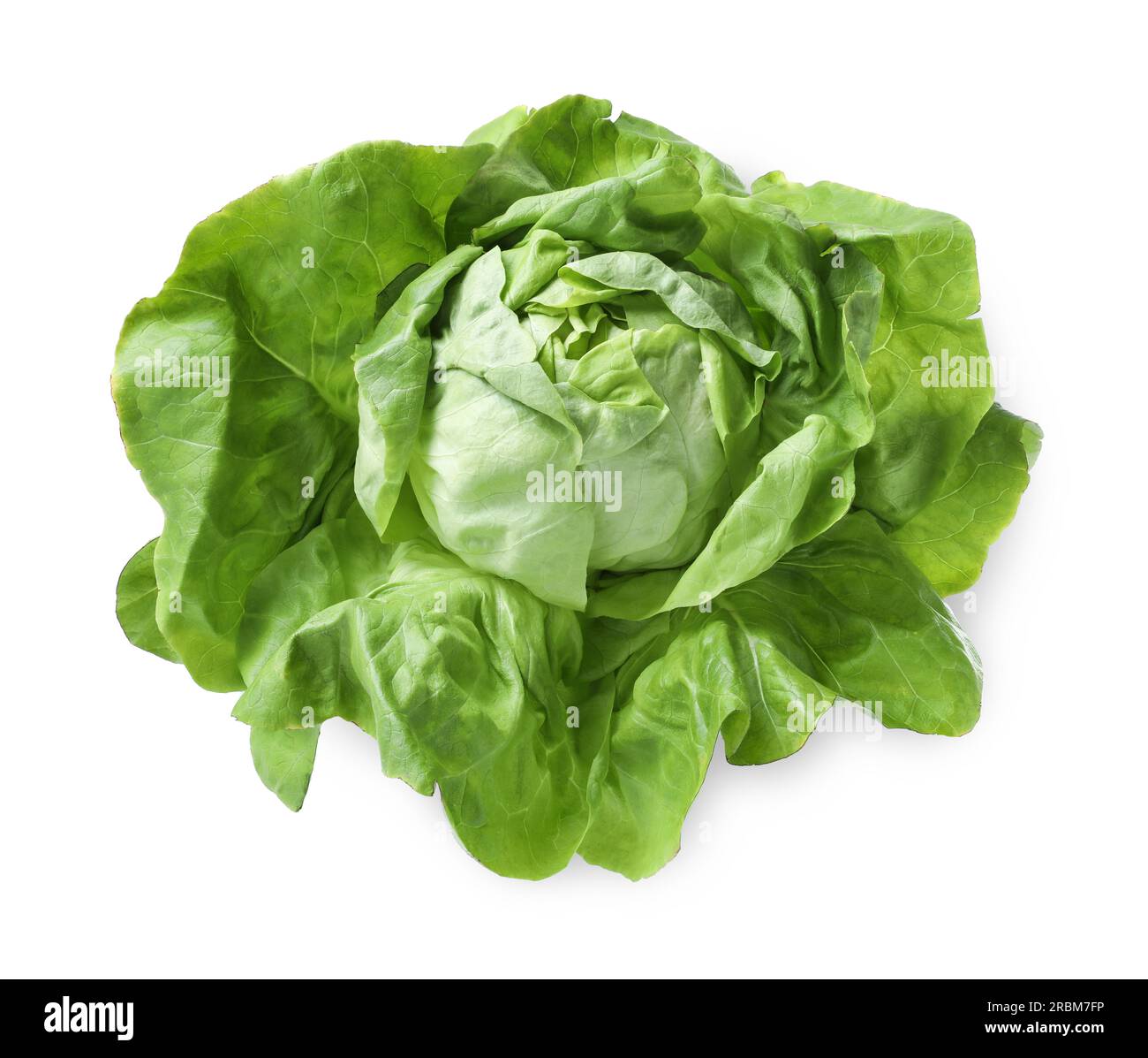 Fresh green butter lettuce head isolated on white Stock Photo - Alamy