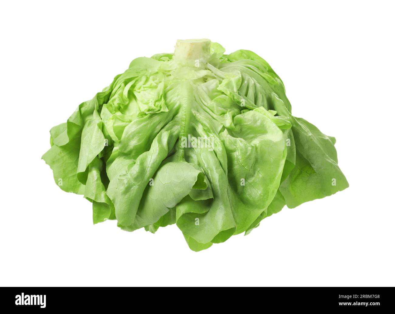 Fresh green butter lettuce head isolated on white Stock Photo - Alamy