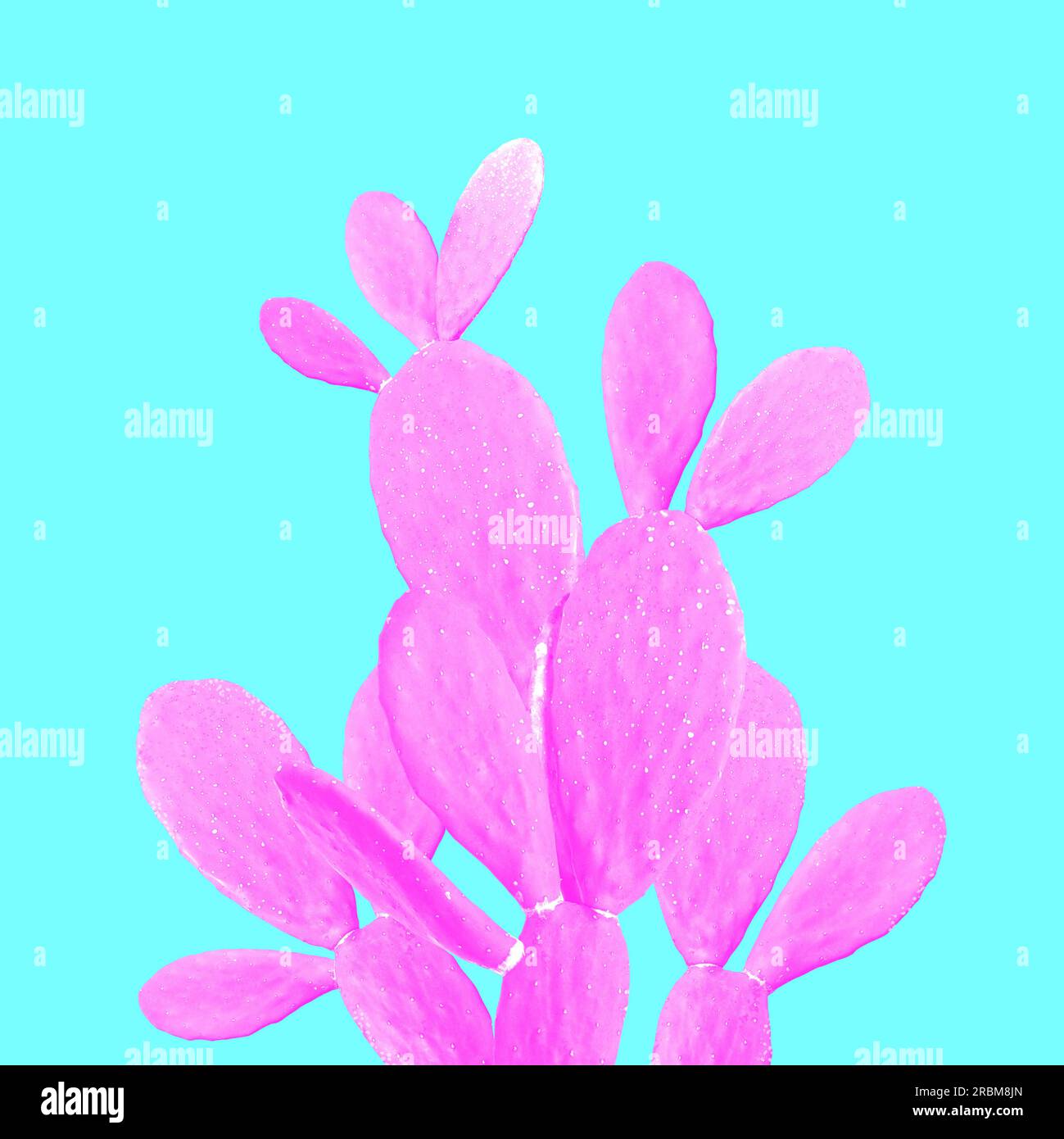 Beautiful pink cactus plant on cyan background Stock Photo - Alamy