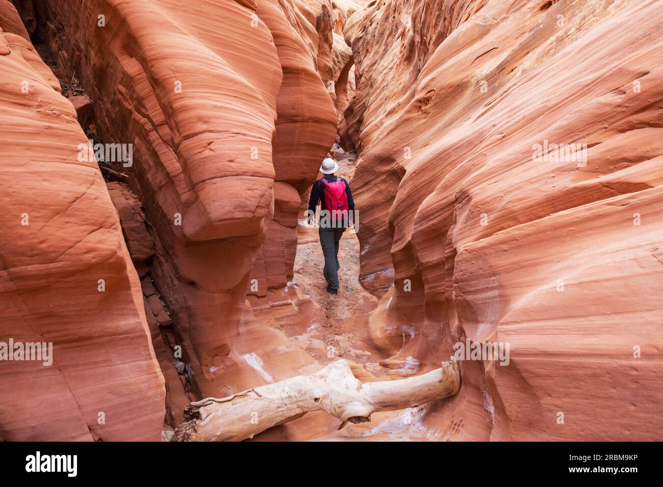 Slot canyon in Grand Staircase Escalante National park, Utah, USA ...