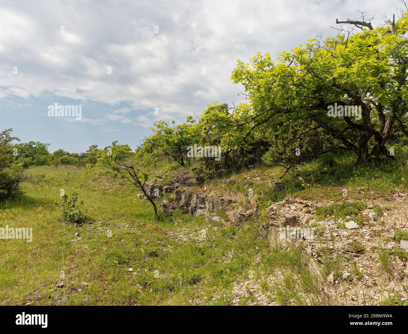 Landscape in the Mäusberg nature reserve near Karlstadt, Main-Spessart ...