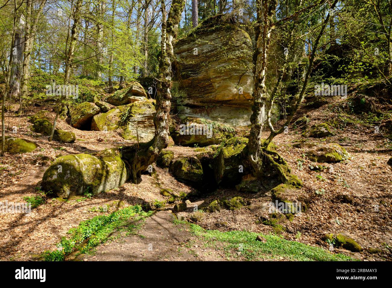 Rock labyrinth below the ruins of Nordburg Lichtenstein in Lichtenstein ...
