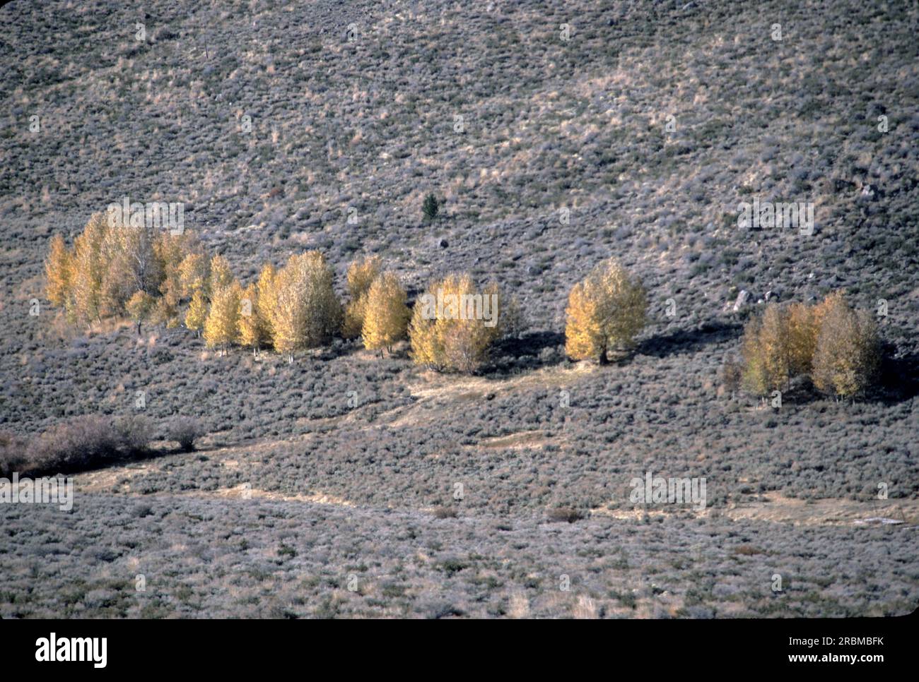 SILVER LAKE Snuggled up against the base of Carson Mountain, Silver ...