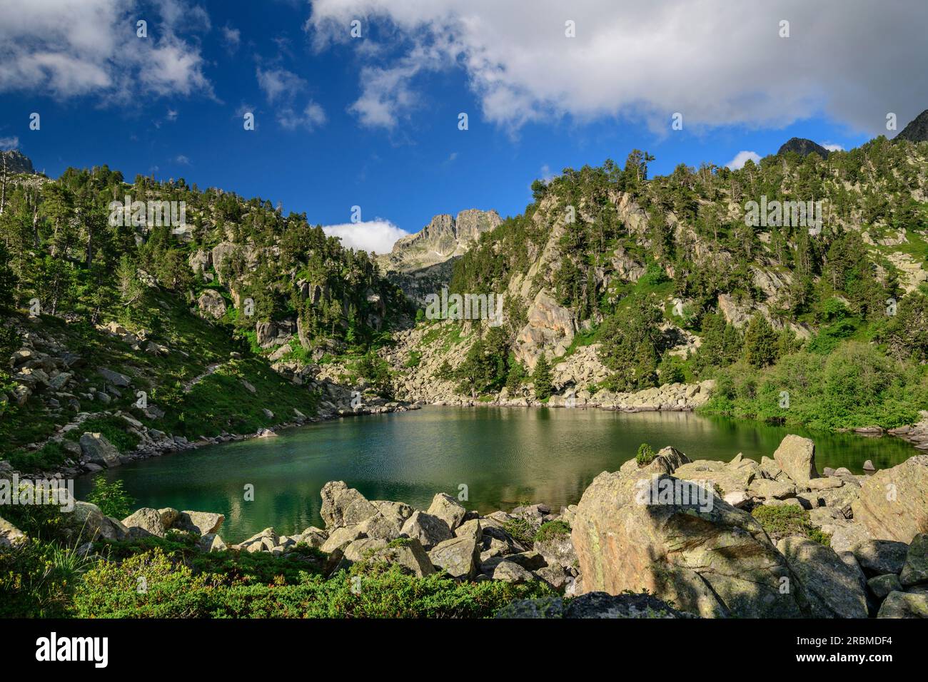 Estany de gerber hi-res stock photography and images - Alamy