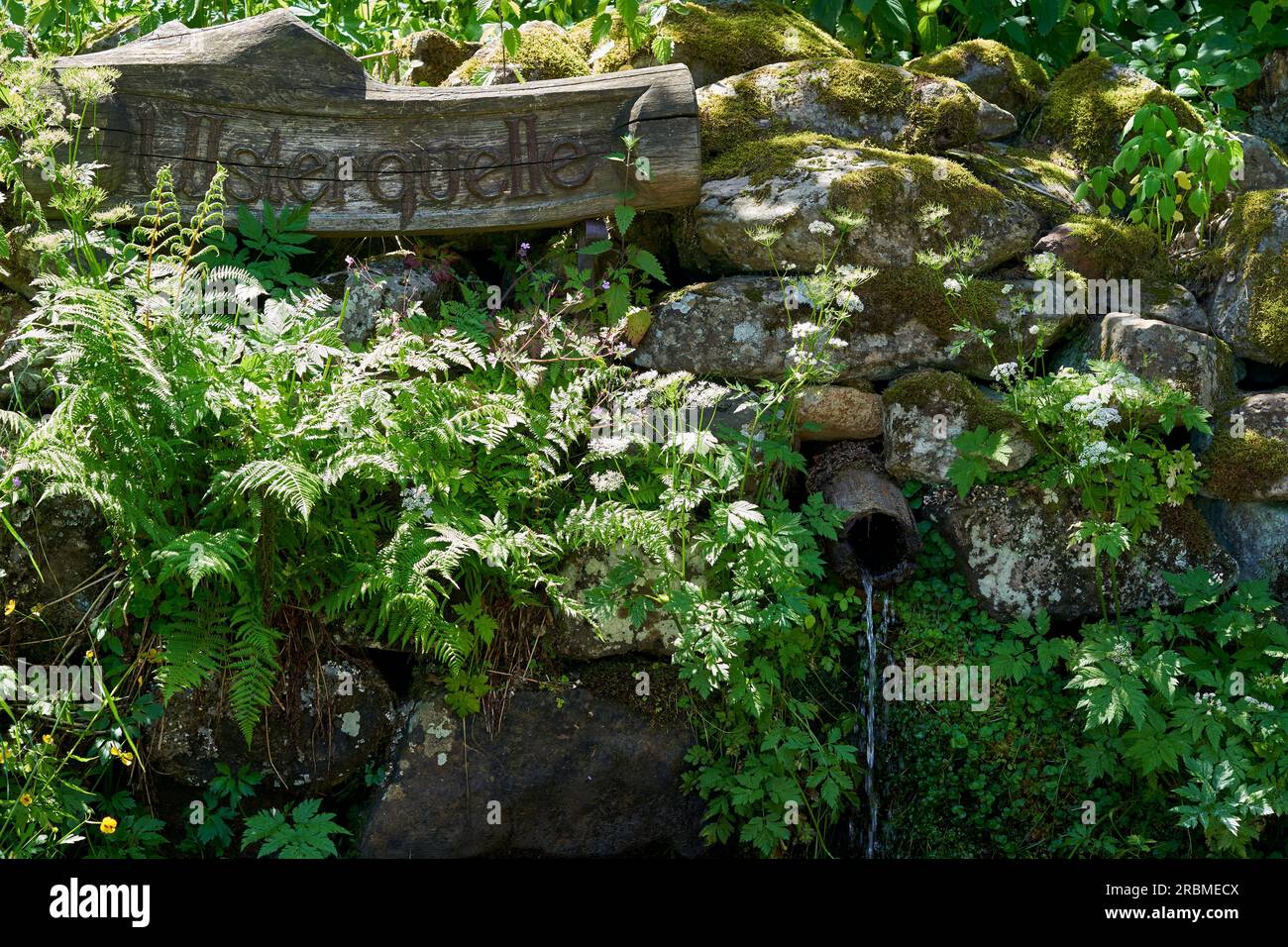 The Ulsterquelle in the Upper Ulstertal of the Hochrhön, Rhön Biosphere ...
