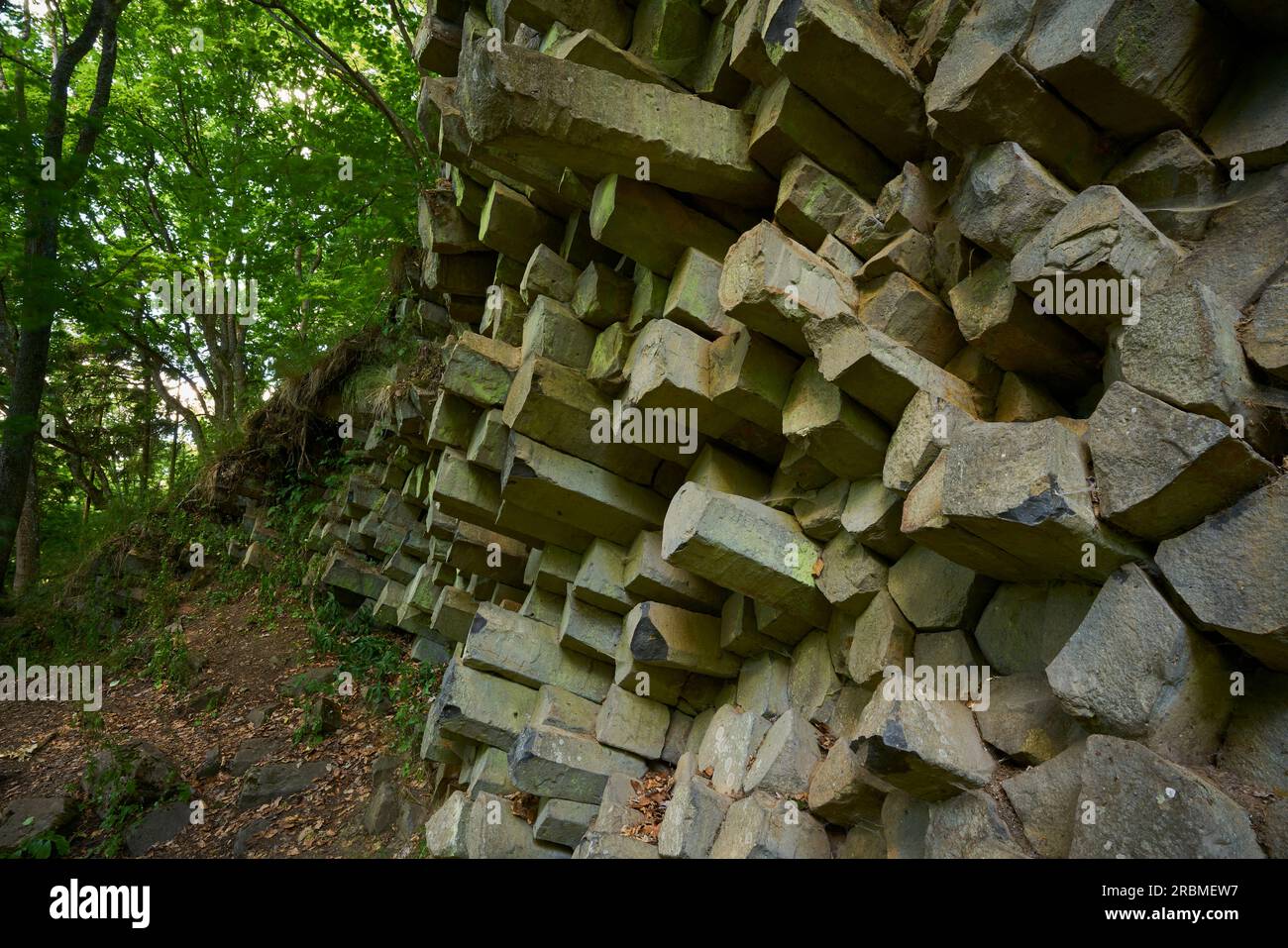 Basalt columns in the Gangolfsberg nature reserve in the core zone of ...