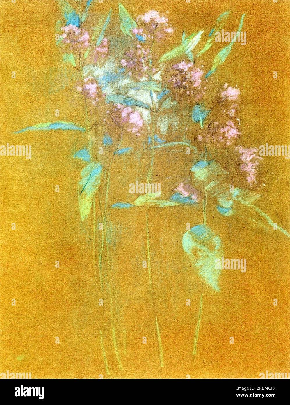 Wildflowers 1891 by John Henry Twachtman Stock Photo - Alamy