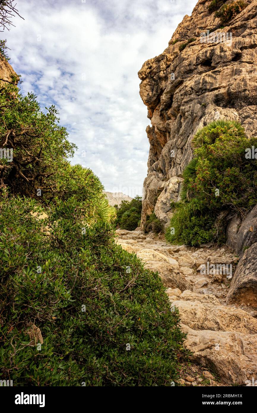 Hiking trail in Bóquer Valley, Pollenca, Mallorca, Spain Stock Photo ...