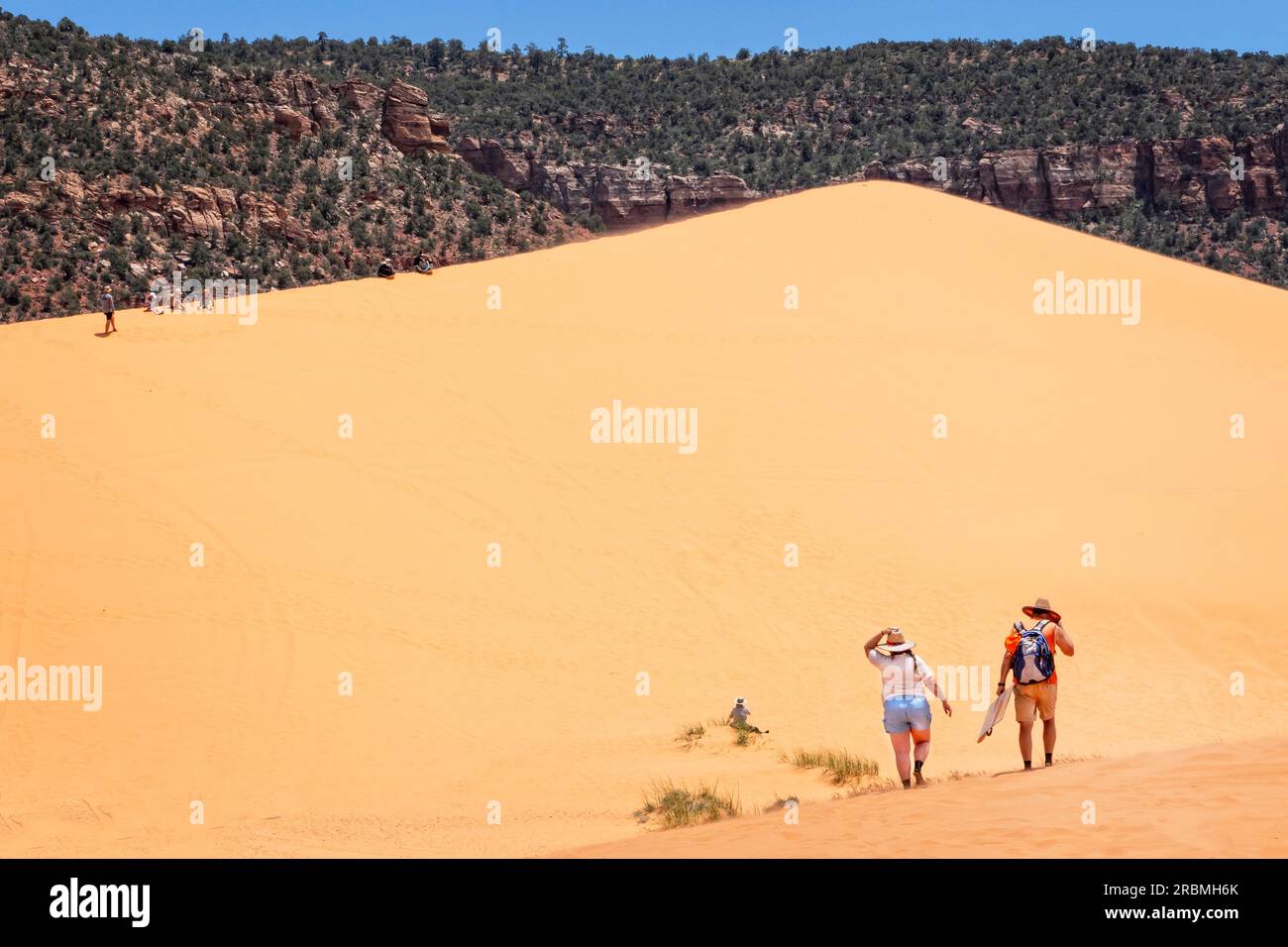 Sand boarding on the Coral Pink Sand Dunes Utah USA Stock Photo - Alamy