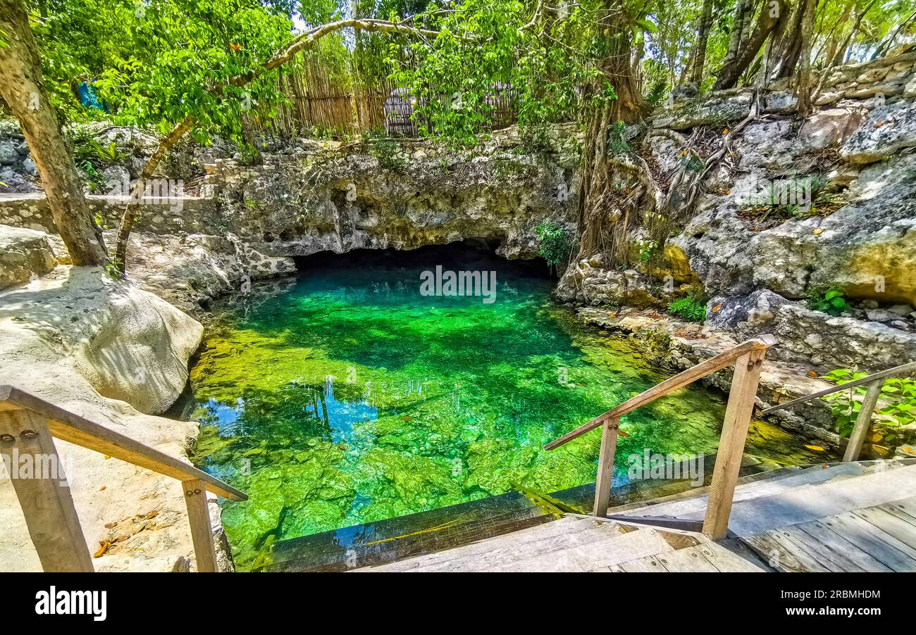 Beautiful Cenote Park Aktunchen with limestone rocks turquoise blue ...