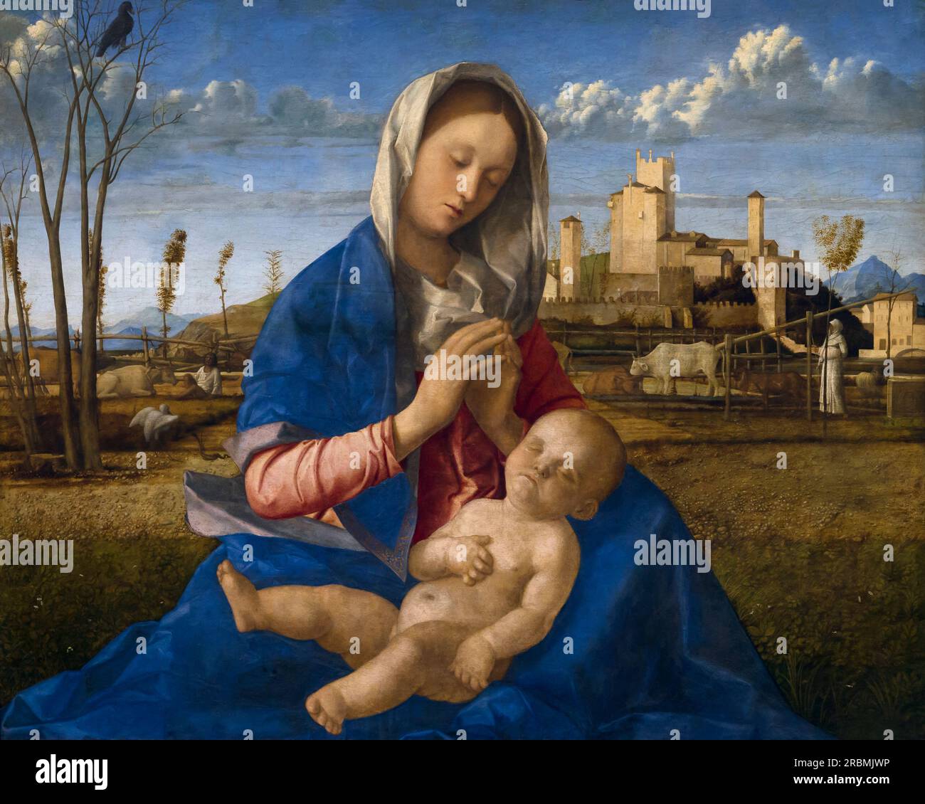 Madonna of the Meadow, Giovanni Bellini, circa 1500 Stock Photo - Alamy