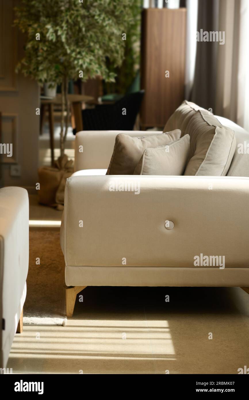 Side view of soft comfortable couch of delicate beige color with ...