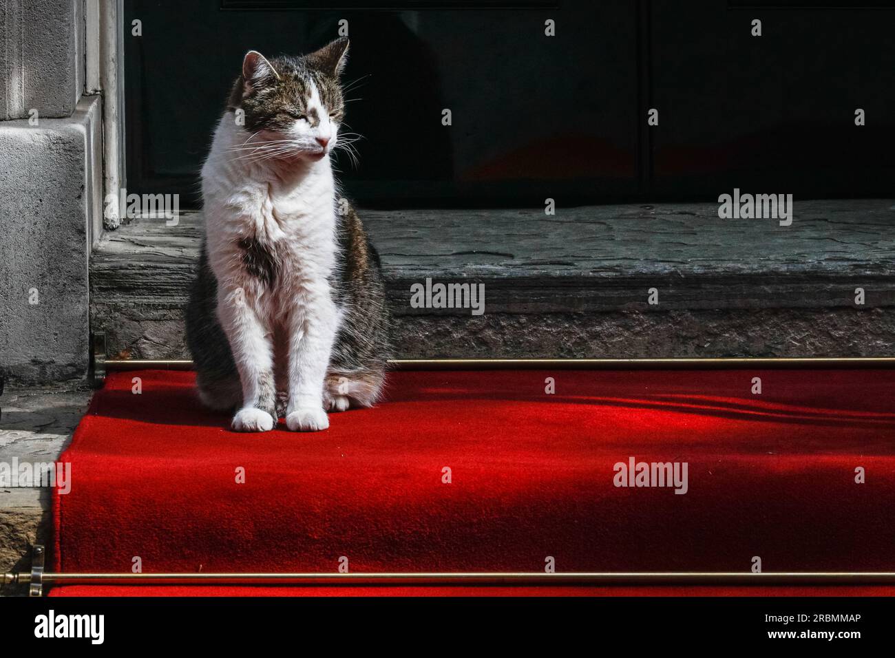 Larry king us president hi-res stock photography and images - Alamy