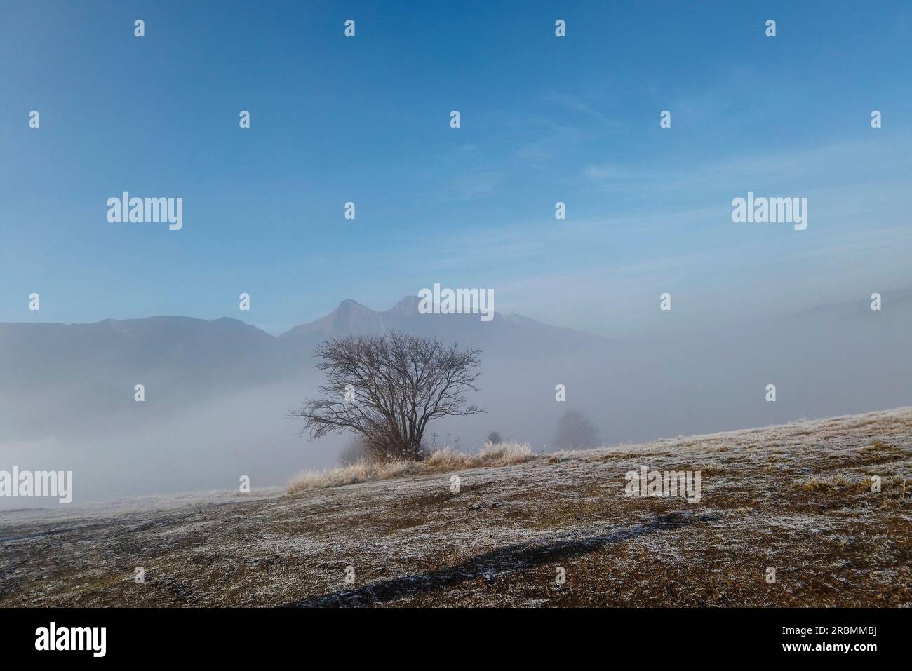 Serene winter landscape trees hi-res stock photography and images - Alamy