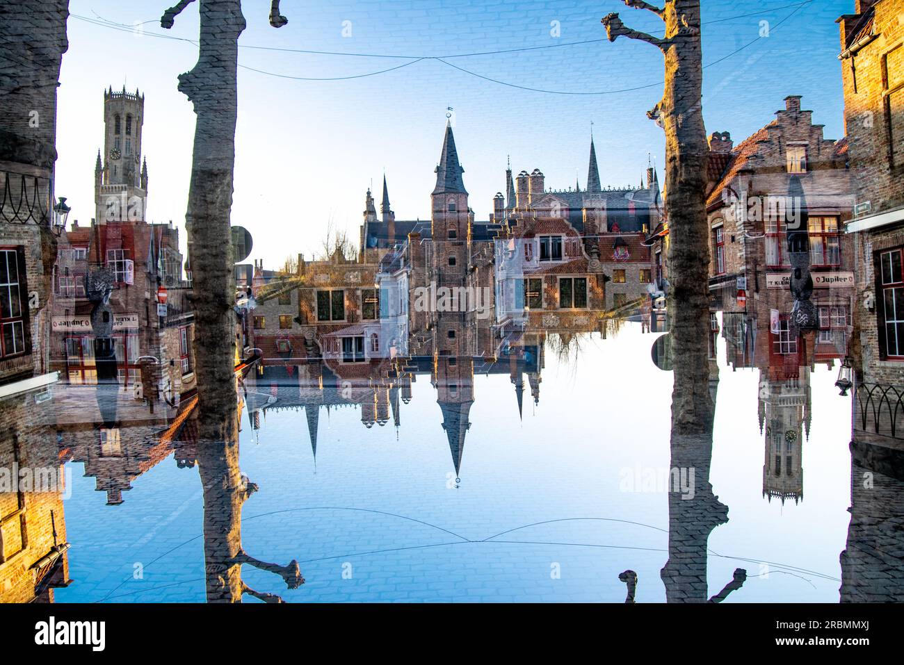 Double exposure of pruned trees and old buildings in Bruges, Belgium ...