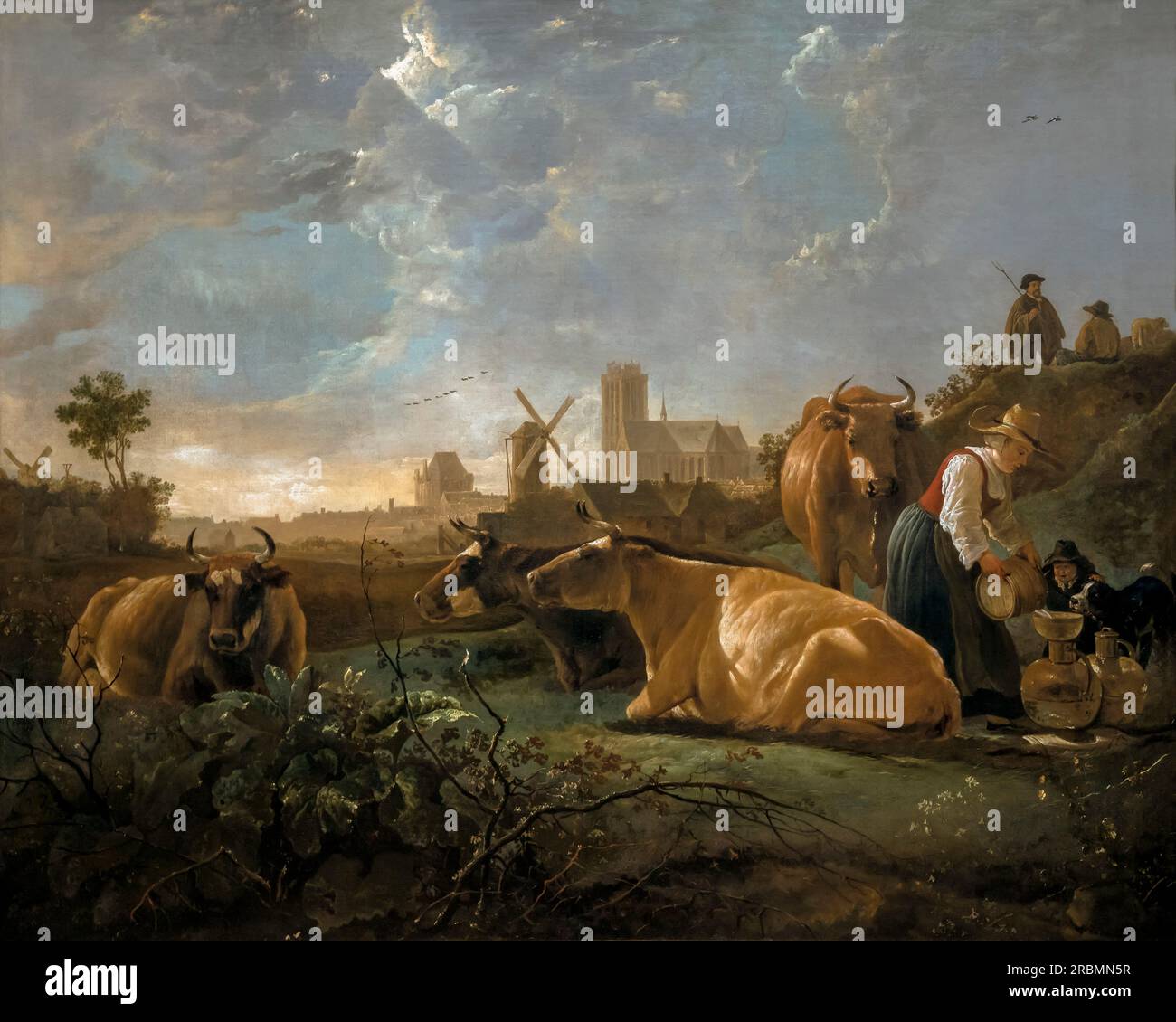 Dort hi-res stock photography and images - Alamy